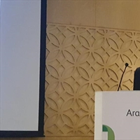 Treatment Options for Rectocele by Dr. Labib Riachi | Lectures | Riachi ...